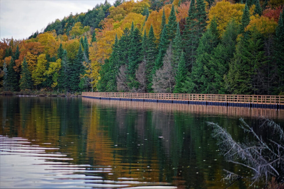 Randonnée Pédestre — Parc Éco-Laurentides