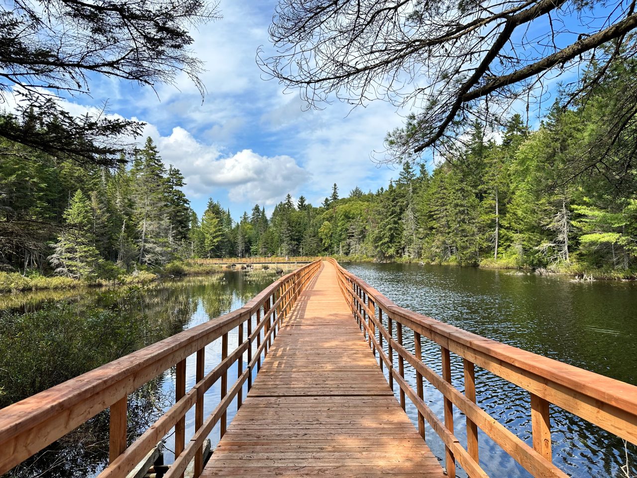 Randonnée Pédestre — Parc Éco-Laurentides